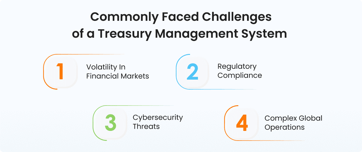 Treasury Management: Functions, Objectives, and Challenges