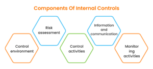 What are Internal Controls: Purpose, Examples and Types