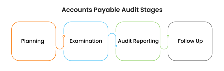 Accounts Payable Audit Software Guide-Steps & Best Practises